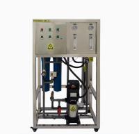 China Brackish Water Reverse Osmosis Water Plant 250L/h 1600 GPD SS304 Skid Mount for sale