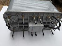 China Ionpure CEDI LX-Z IP-LXM18Z-5 High-Flow Chemical-Free EDI Module 2.0-3.1 m3/hr for sale