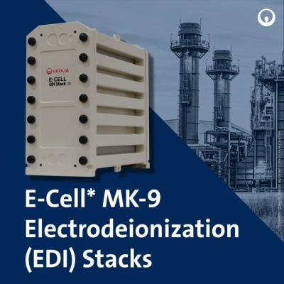 China Veolia MK-9 EDI Stack 35 GPM Ultrapure Water System 8.0 m3/h for Solar PV for sale