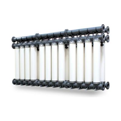 China SFP-2860 / SFD-2860 UF Membrane Module with 51 M² Membrane Area, PVDF Material, and 0.03 µm Nominal Pore Diameter for sale