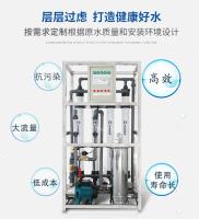 China 50TPH Ultrafiltration Water Treatment System with 0.02μm Pore Size for Industrial Applications for sale
