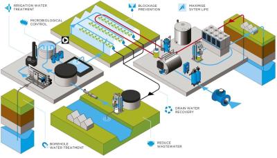 China 900,000 GPD Reverse Osmosis Water Treatment System for Agriculture | 99.8% Salt Rejection | 7000 ppm TDS Capacity for sale