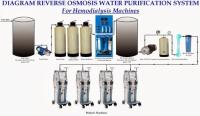 China Hospital 1000TPD Reverse Osmosis Water Purification System with EDI Technology for Medical Facilities for sale