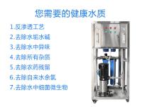 China 12000LPH Automatic Reverse Osmosis System SS304 Water Treatment for Borehole Well Salty Water for sale