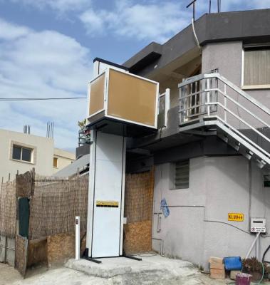 China 3m Barrier-free Vertical Wheelchair Lift Platform Handicapped Lift for Disabled for sale
