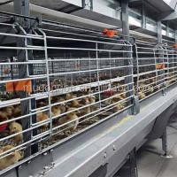 China Factory Direct Hot Dip Galvanized H Type Chicken Cage for Broilers for sale