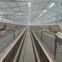 China Factory Direct Hot Dip Galvanized H Type Chicken Cage for Broilers for sale