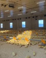 China Durable Poultry Farming Floor System for Broiler Chickens for sale