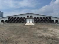 China Durable Poultry Farming Floor System for Broiler Chickens for sale