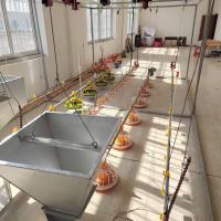 China High Quality Poultry Feeding and Drinking System for Broilers for sale