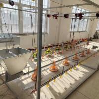 China Wholesale Poultry Floor System with Automatic Feeders and Drinkers for sale