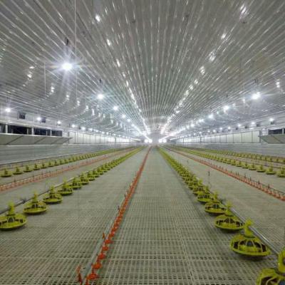 China Best Price Broiler Chicken Floor System for Large Poultry Farms for sale