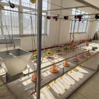 China Best Price Broiler Chicken Floor System for Large Poultry Farms for sale