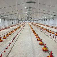China Poultry Flooring System for Broiler Chicken High Yield Farming for sale