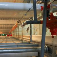 China Manufacturer Wholesale Durable Automatic System Battery Metal Broiler Chicken Cage for Large Scale Poultry for sale