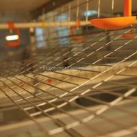 China Factory Price Automatic System Battery Broiler 10000 Layer Chickens Farm Bird Cage for Sale for sale