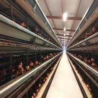 China Fully Automatic H Type Chicken Layer Cage Layers Poultry Farming Chicken Battery Cages Poultry Farm for Farm for sale