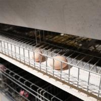 China Fully Automatic H Type Chicken Layer Cage Layers Poultry Farming Chicken Battery Cages Poultry Farm for Farm for sale