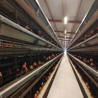 China Automation Egg Layer Farming Chicken Cage for Poultry Farm Chicken House for sale