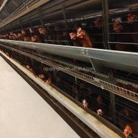China Automation Egg Layer Farming Chicken Cage for Poultry Farm Chicken House for sale