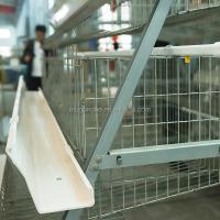 China Modern Design Hot Dip Galvanized Egg Laying Hens Battery Layer Automatic Chicken Cages for Poultry Farming for sale