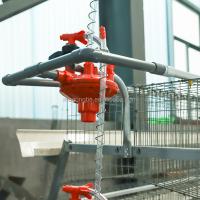 China Factory Supply Hot Selling Products Automatic Feeding Poultry Farming System a Type Chicken Cage for sale