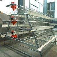 China Factory Supply Hot Selling Products Automatic Feeding Poultry Farming System a Type Chicken Cage for sale
