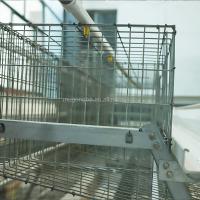 China Factory Supply Hot Selling Products Automatic Feeding Poultry Farming System a Type Chicken Cage for sale