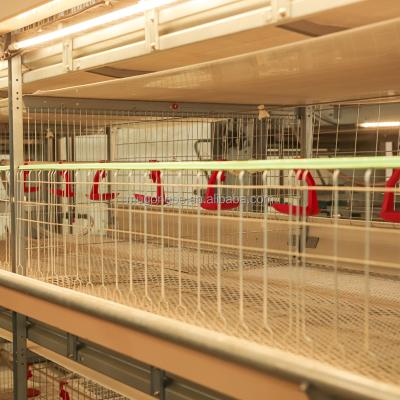 China Factory Delivery H Type Fully Automatic Meat Duck Breeding Cage for sale