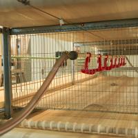 China H Type 3/4/5 Tiers Battery Layer Duck Cage Breeder Duck Cages for Ducks Farm for sale