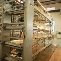 China H Type 3/4/5 Tiers Battery Duck Cage Laying Elevated Duck Cages for Egg Layer Duck Farm for sale