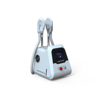 China 3 Handles Fat Reduction Device 110V 220V For Private Pelvic Floor Muscle Recovery for sale