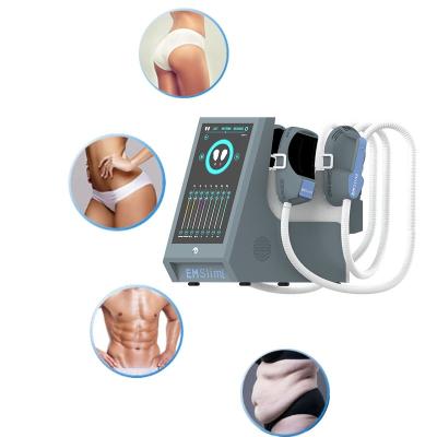 China RF 100HZ EMS Muscle Stimulator Machine 100HZ For Fat Burning for sale