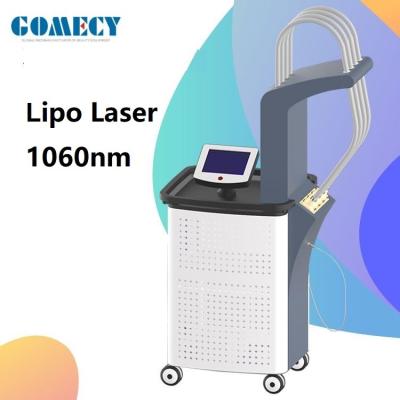 China No Surgery 1060nm Lipo Laser Slimming Machine With Touch Screen for sale