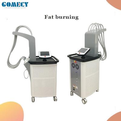 China 1060nm Lipo Laser Fat Burning Machine With 10.4