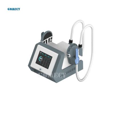 China AC220V Woman Emslim Body Sculpting Machine Pelvic Floor Muscle Training for sale