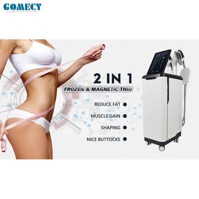 China EMSlim HIEMT HIIT Aesthetic Equipment Muscle Building Cryolipolysis Body Sculpting for sale