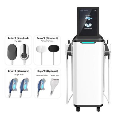China 2 In 1 Cryotherapy Cryolipolysis Slimming Machine 360 Degree for sale