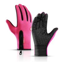 China Unisex Touchscreen Winter Cycling Gloves Warm Full Finger Gloves for Bike Skiing Riding for sale