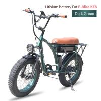 China 20 inch Fat Tire Electric Bike with 23AH Battery Capacity and 7-Speed Gear in EU Stock for sale