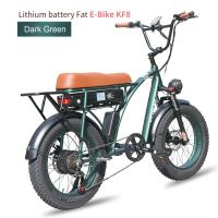China 20 inch Fat Tire Electric Bike with 23AH Battery Capacity and 7-Speed Gear in EU Stock for sale
