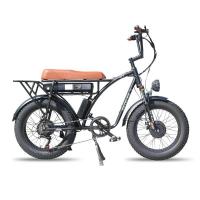 China 23AH Battery Capacity 1000W 2000W Motor 20 inch Fat Bike Electric Bike Custom Support for sale