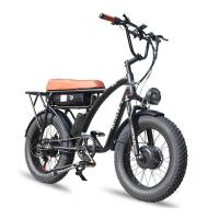 China 23AH Battery Capacity 1000W 2000W Motor 20 inch Fat Bike Electric Bike Custom Support for sale