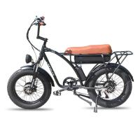 China 23AH Battery Capacity 1000W 2000W Motor 20 inch Fat Bike Electric Bike Custom Support for sale