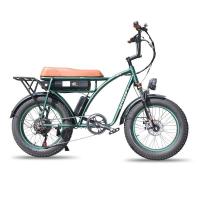 China 23AH Battery Capacity 1000W 2000W Motor 20 inch Fat Bike Electric Bike Custom Support for sale