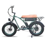 China 23AH Battery Capacity 1000W 2000W Motor 20 inch Fat Bike Electric Bike Custom Support for sale