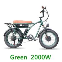 China 48V 23Ah Lithium Battery Electric Bike with Mechanical Disc Brake and Powerful Motor for sale