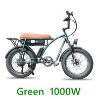 China 48V 23Ah Lithium Battery Electric Bike with Mechanical Disc Brake and Powerful Motor for sale