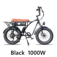 China 48V 23Ah Lithium Battery Electric Bike with Mechanical Disc Brake and Powerful Motor for sale
