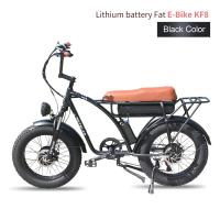 China 48V 23Ah Lithium Battery Electric Bike with Mechanical Disc Brake and Powerful Motor for sale
